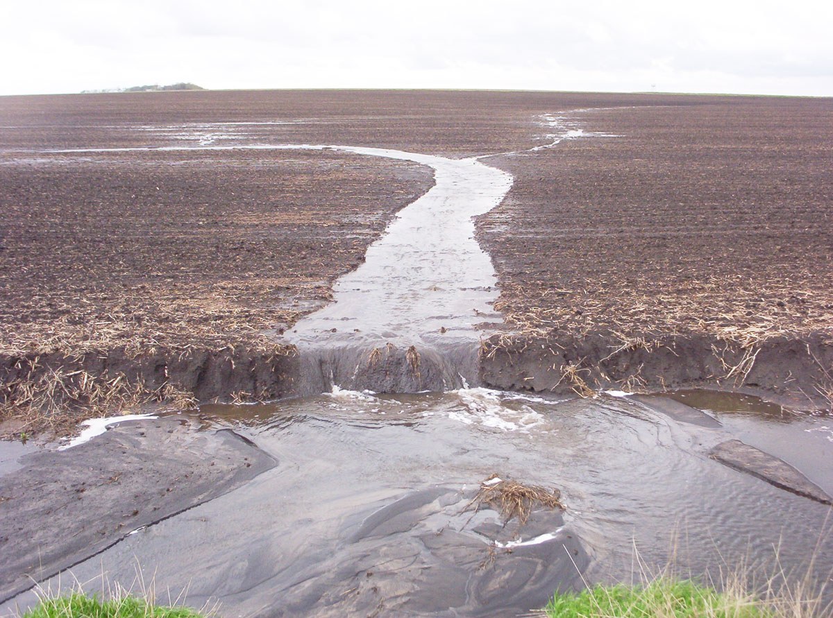 Farmers Cooperative Society