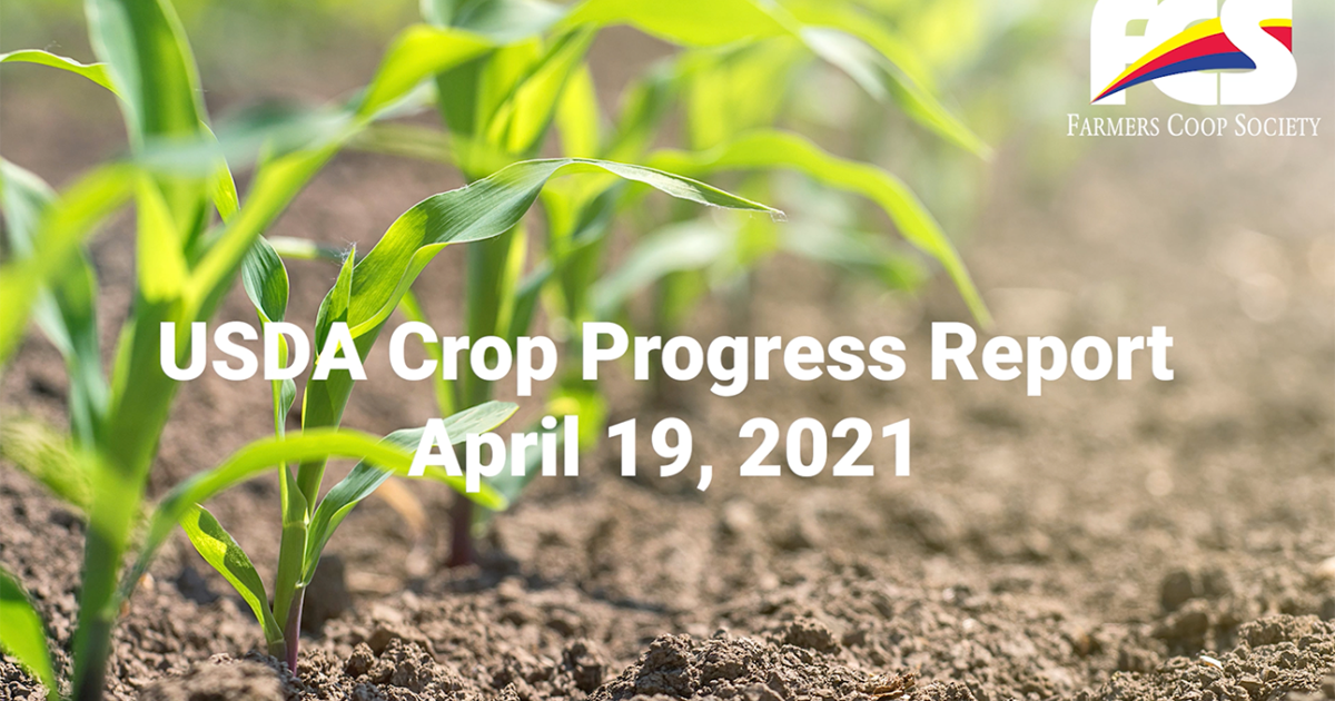 USDA Grain Report 4/19/21 | Farmers Cooperative Society