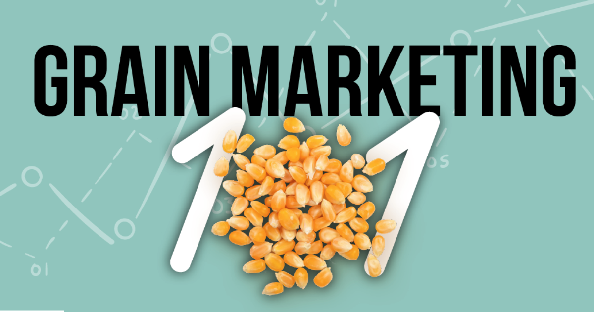 Grain Marketing 101 | Farmers Cooperative Society