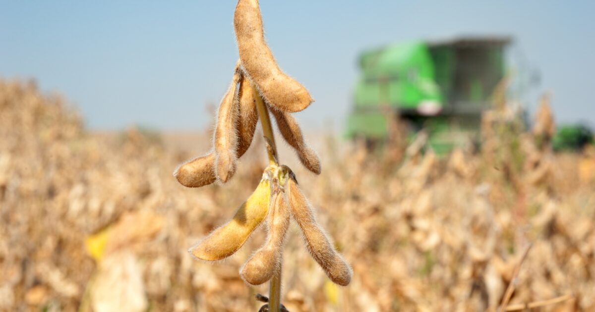 Extended Price Contract Explained | Farmers Cooperative Society