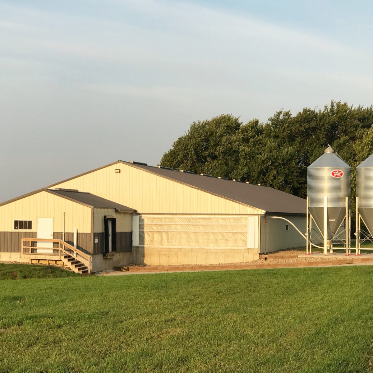 Proven Swine Management | Farmers Cooperative Society